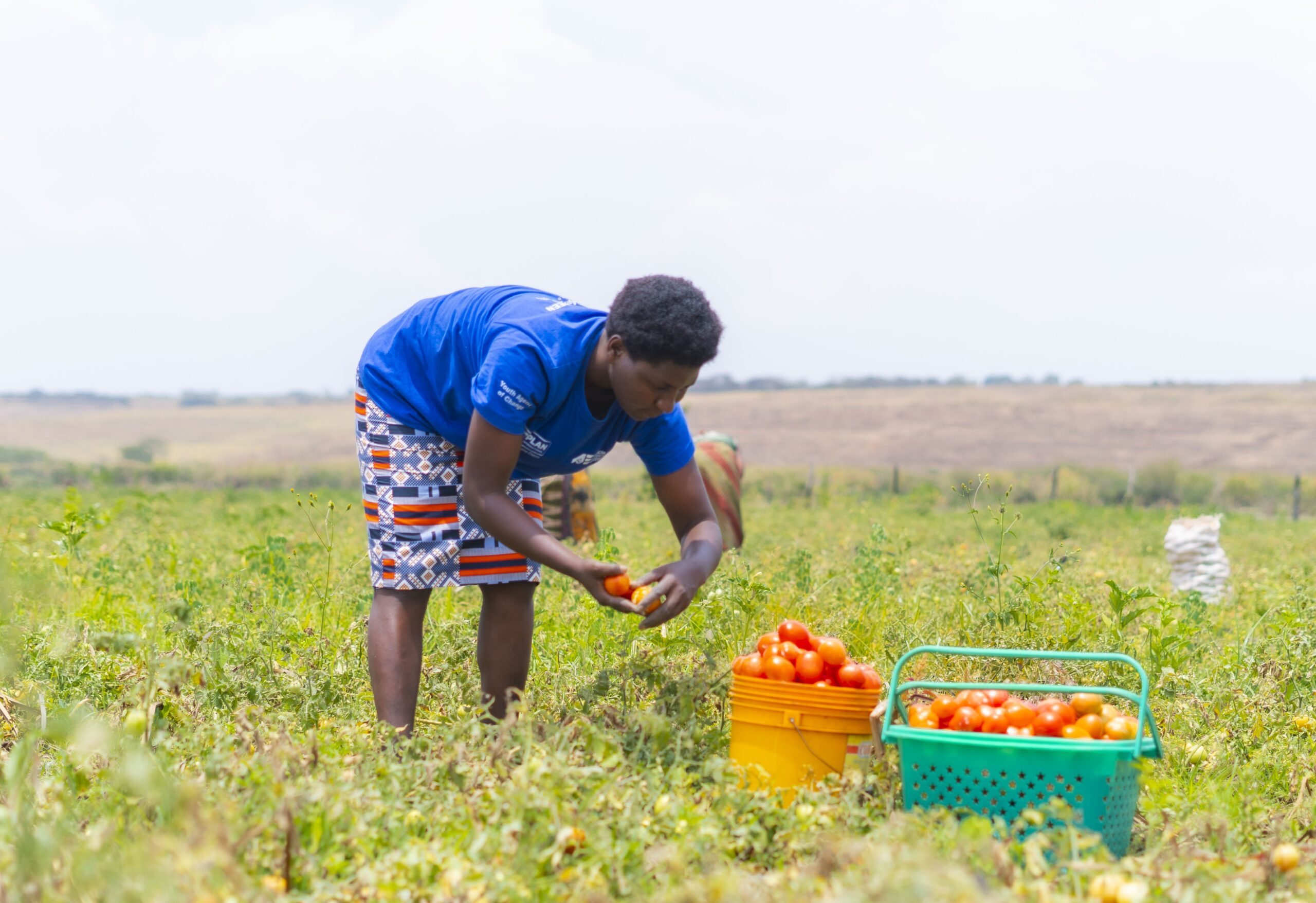 Young agri-preneurs address unemployment in local communities | Plan ...